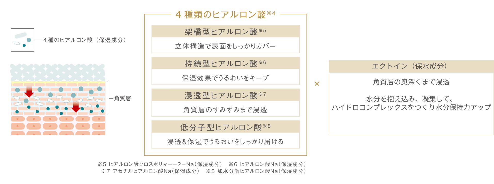 CARE | HUE｜NO3（株式会社ナンバースリー）